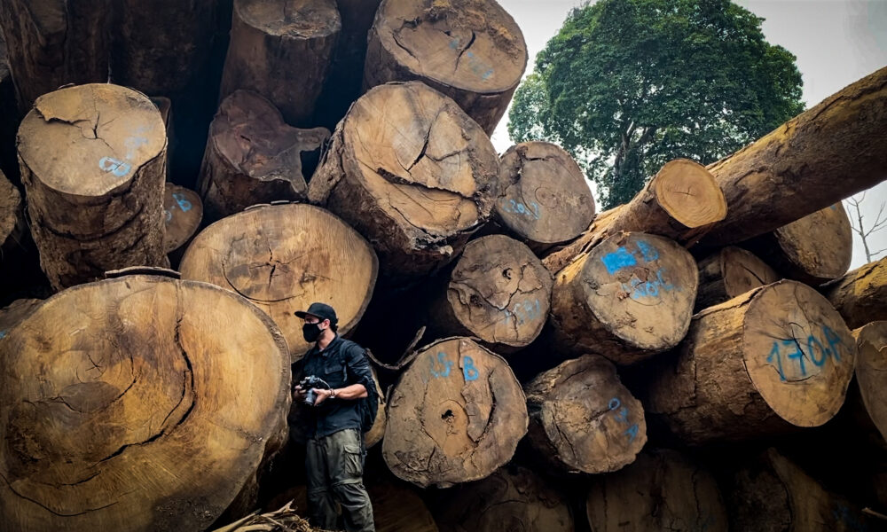 Junglekeepers | Age of Union