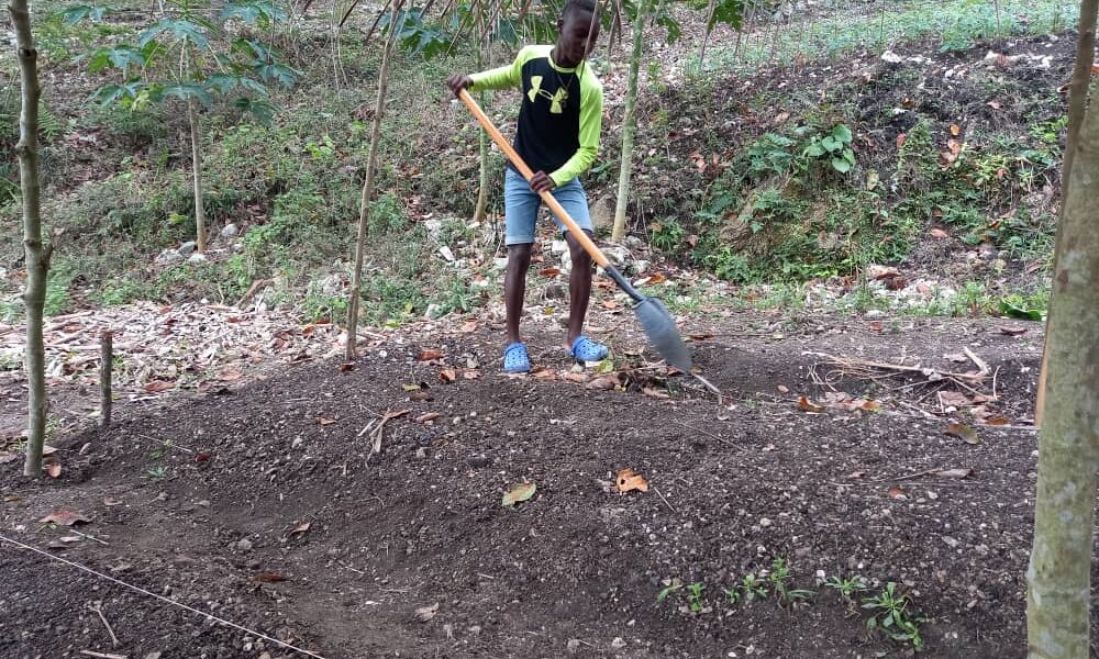 KANPE | Age of Union