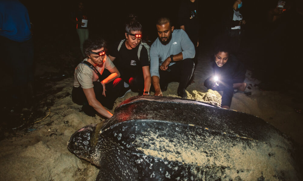 Nature Seekers | Age of Union