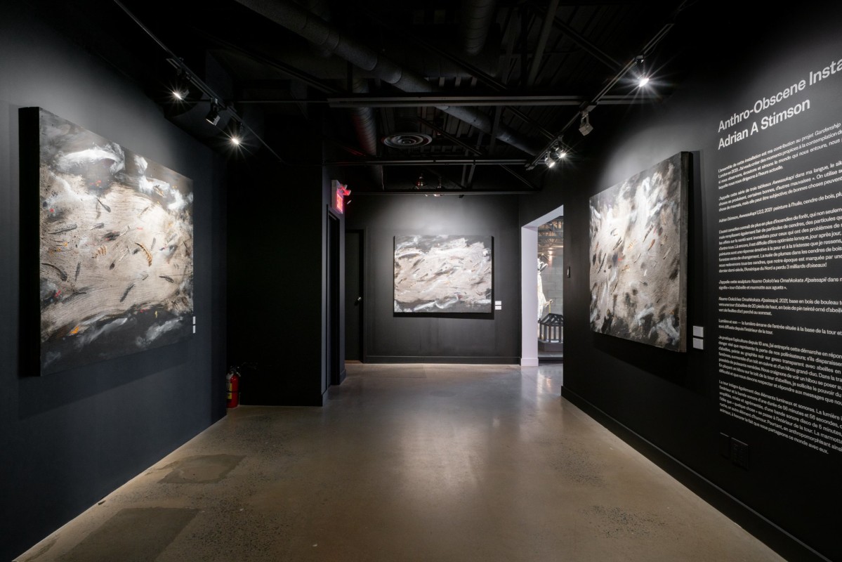 Indigenous Artist-Curator Adrian Stimson Sees New Directions for the ...