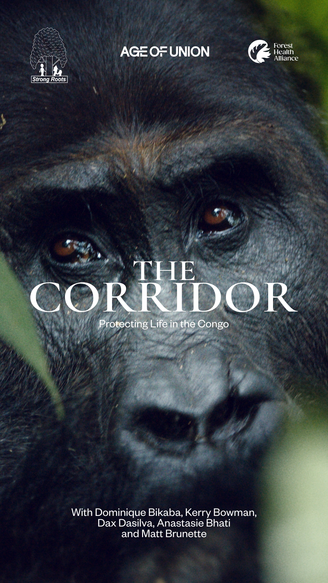 The Corridor | Age of Union