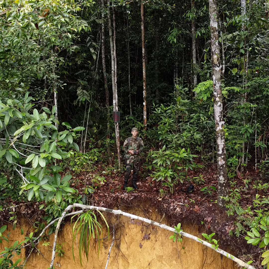 Indonesian Forest Defenders Prepare for El Niño’s Fiery Potential | Age ...
