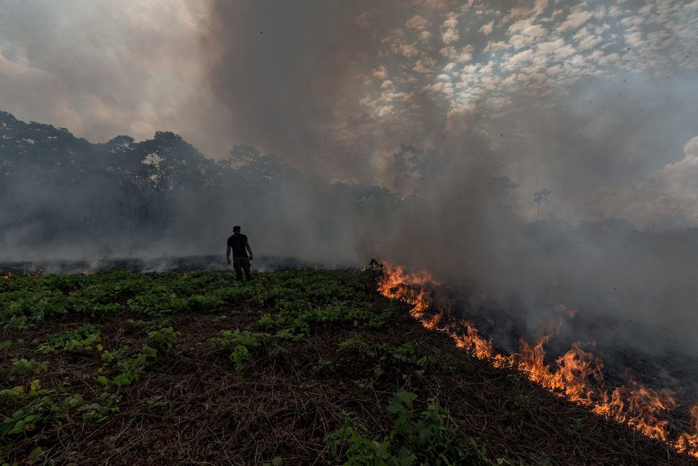 How Age of Union Helped Save a Threatened Forest in the Peruvian Amazon ...