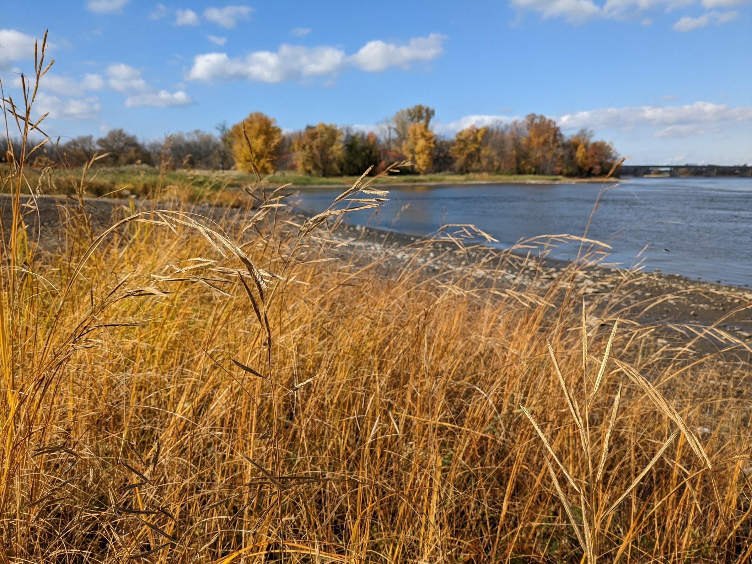 Montreal Unveils ‘Grand Parc de l’Est’ Project, Pledging 700 Hectares ...